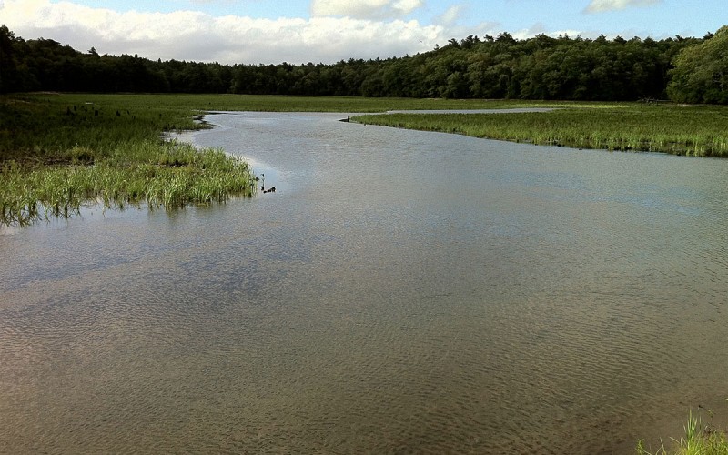 Tidmarsh Farms: Living Observatory | MIT – Docubase
