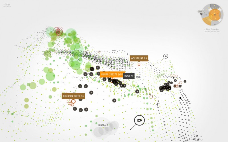 Bear 71 | MIT – Docubase