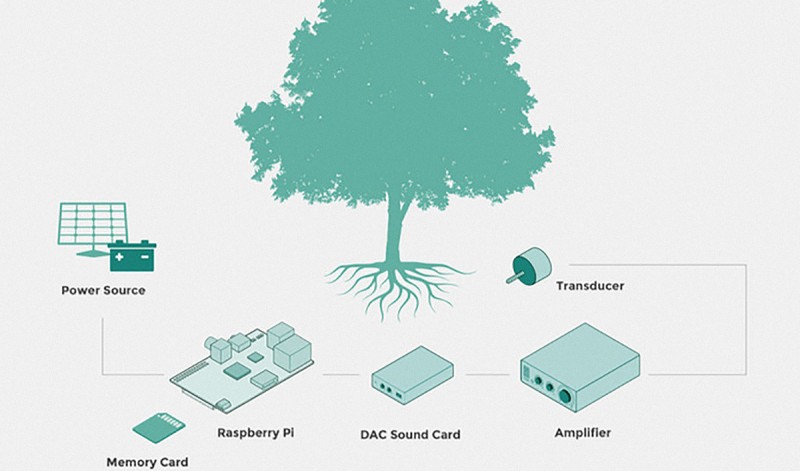 The Listen Tree Project | MIT – Docubase
