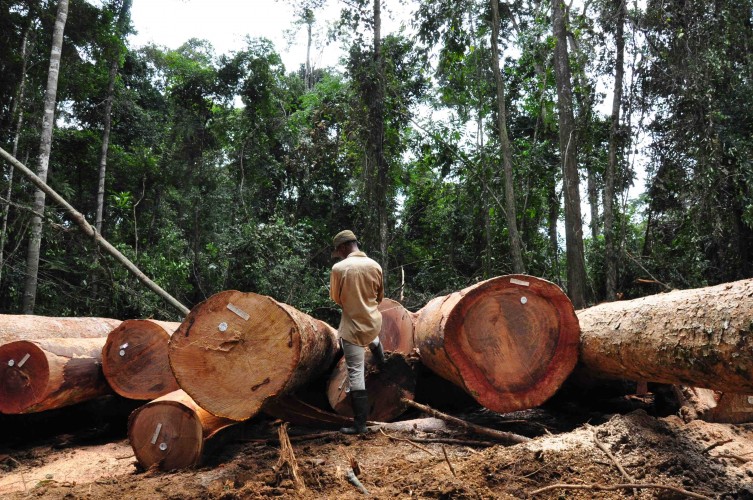 TIMBY (This is My Backyard) | MIT – Docubase